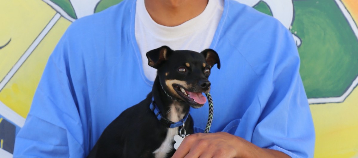 Pawsitive Change Program Rehabilitates Dogs And Inmates: Troy’s Journey ...